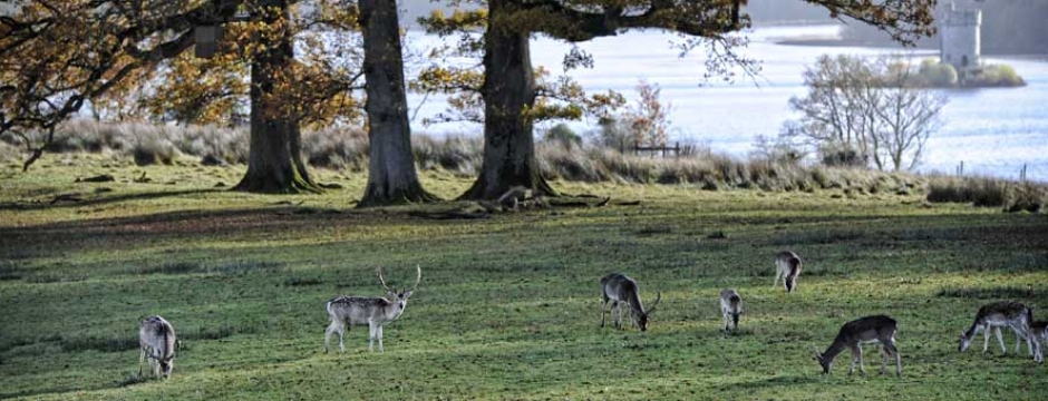 Crom Castle - Alchetron, The Free Social Encyclopedia